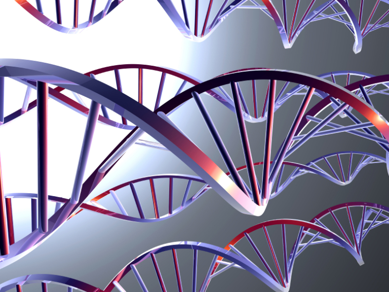 Pengertian Biokimia (Ilmu yang Mempelajari Tentang Peranan Berbagai ...