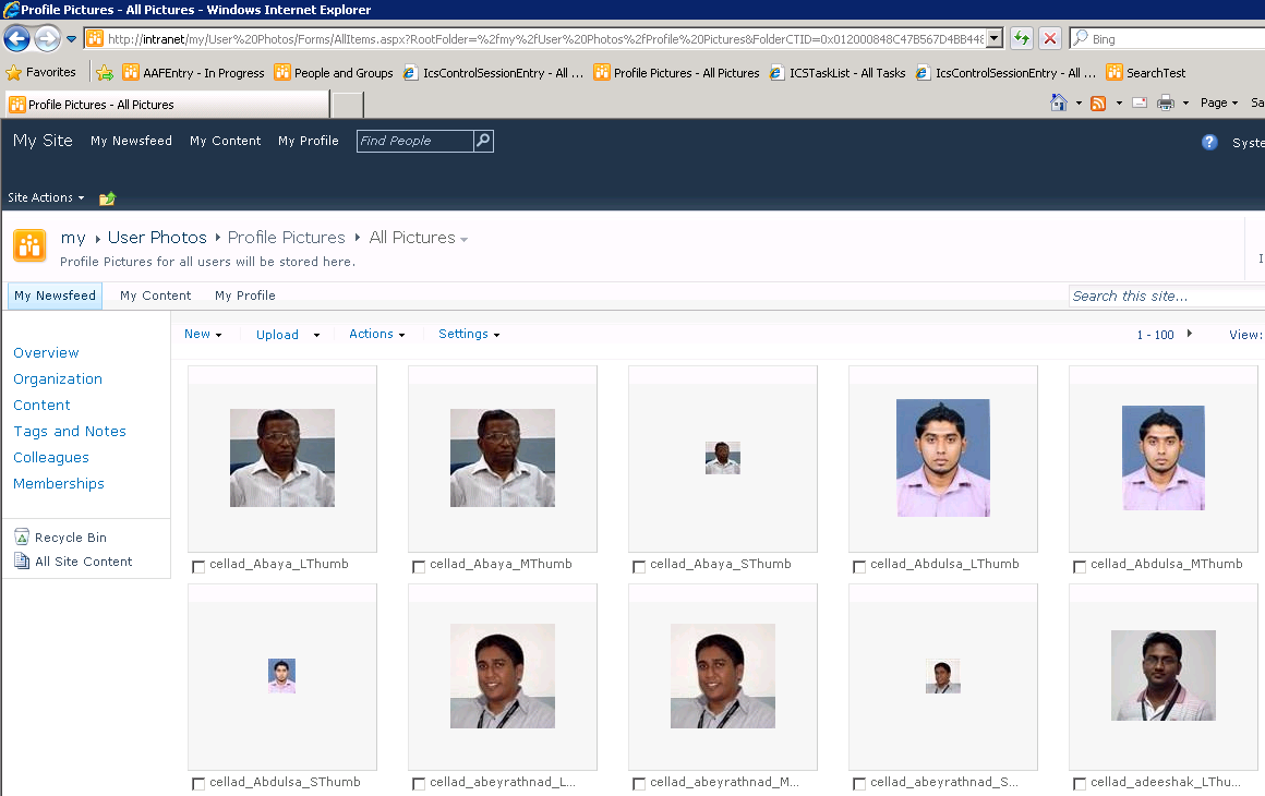 Chanaka's Blog: SharePoint 2010 User Profile Sync