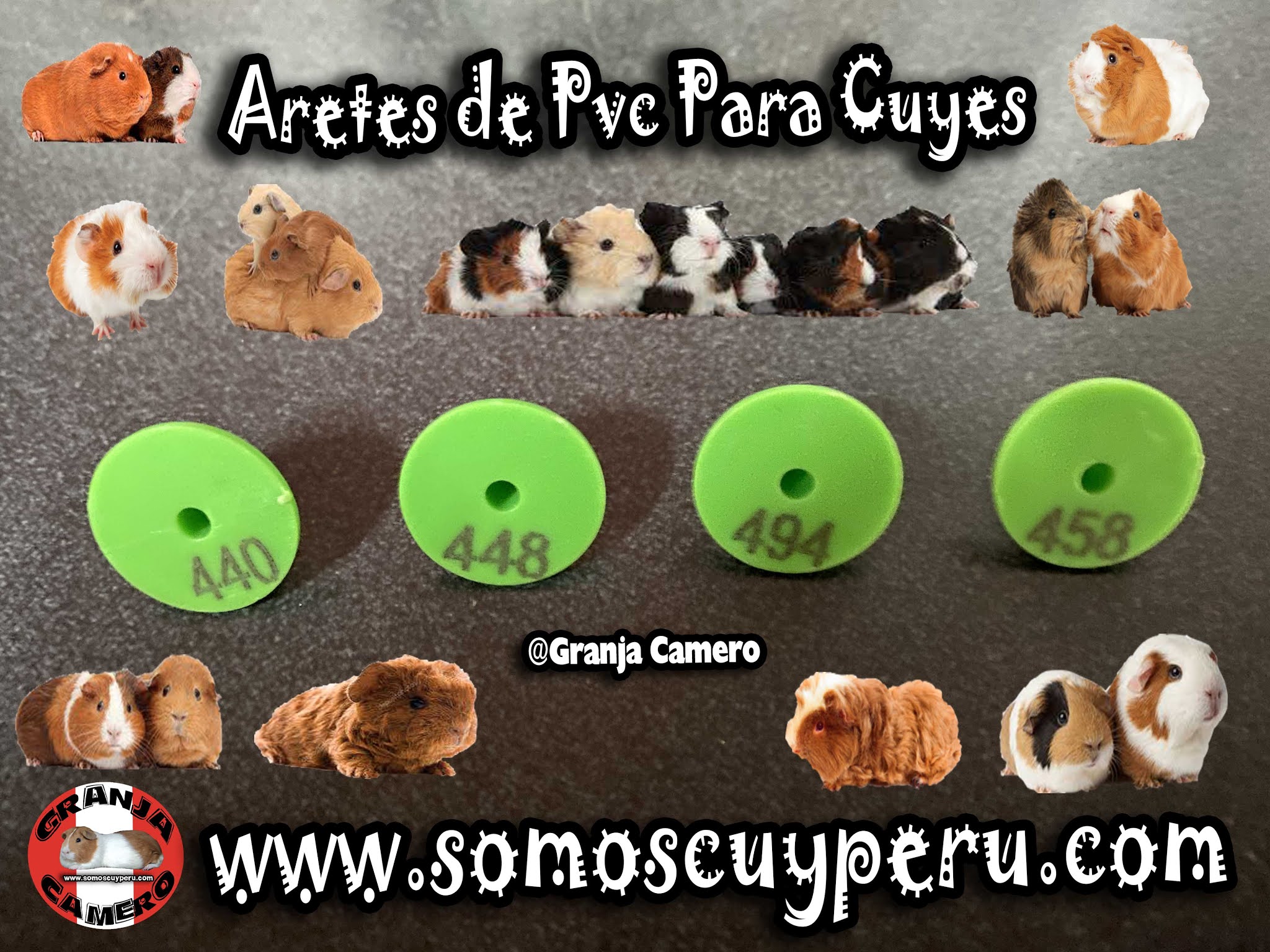 VENTA DE ARETES DE PVC PARA CUYES Y CONEJOS ~ SOMOS CUY PERU