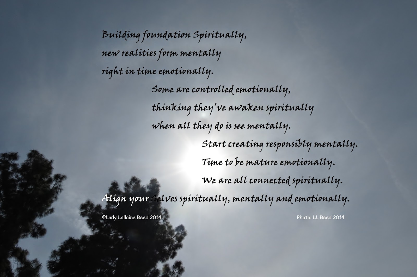 Lady Lallaine Reed's Positive