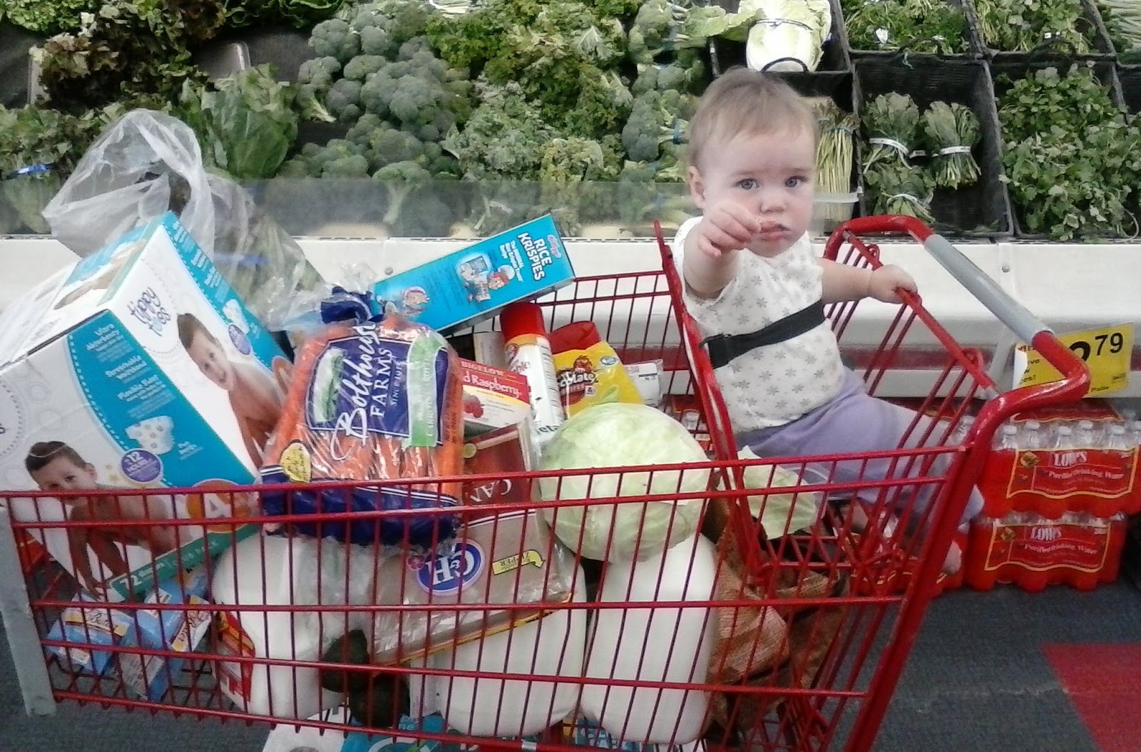 Going Country: The Grocery Run--With Pictures!