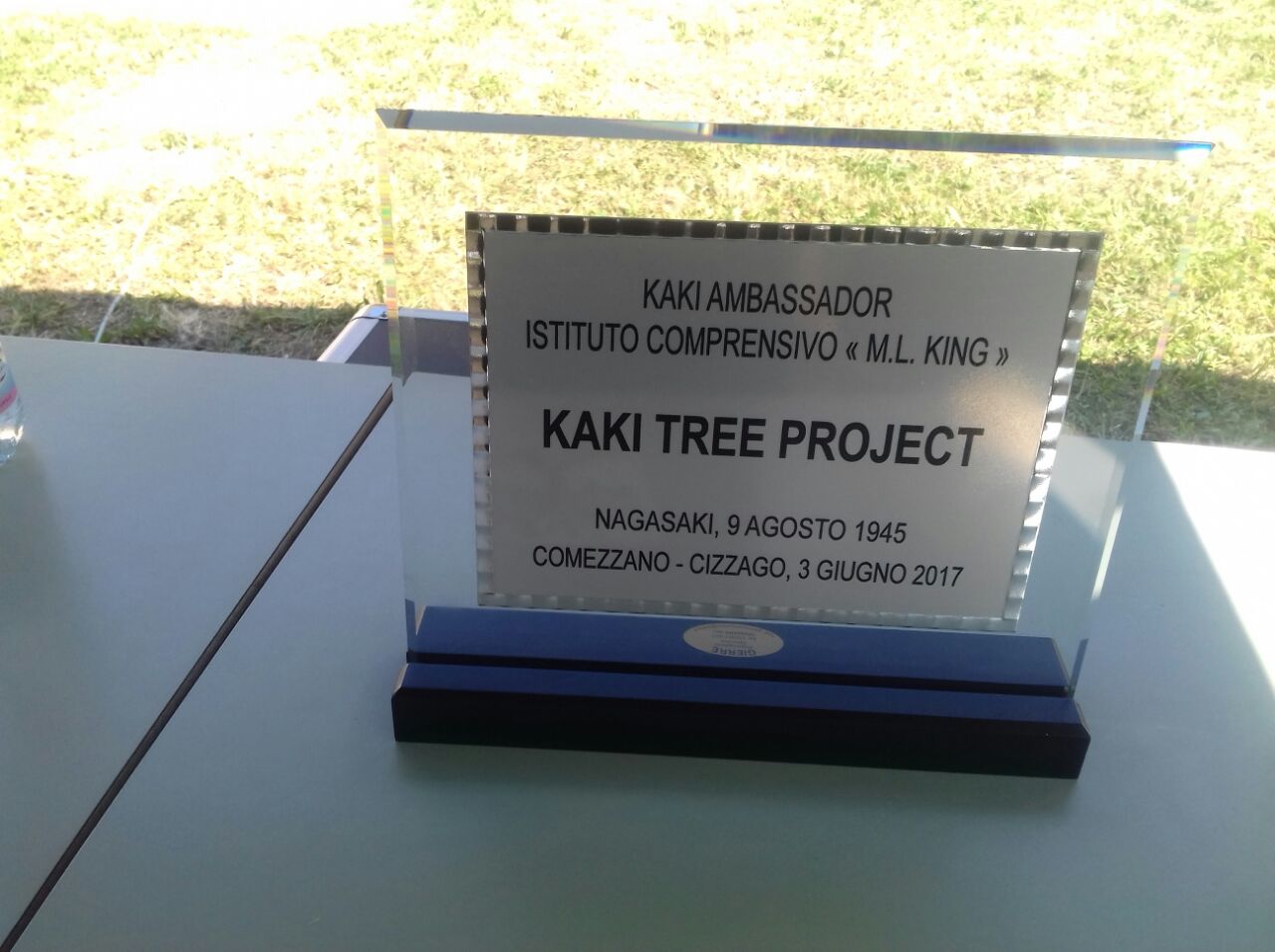 PIRATA BARBARICCIA: Kaki tree project
