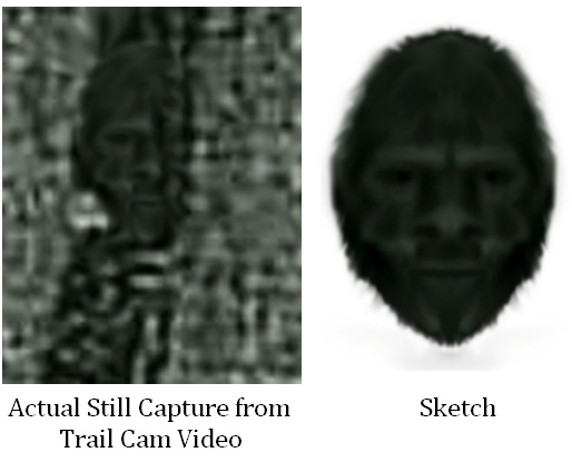 The Bigfoot Field Journal: David Paulides - Bigfoot DNA Study Release ...