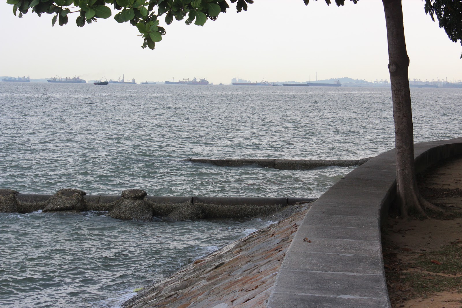 Singapore's Coastal Protection: Groynes