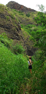 Old Pali Road Hike!