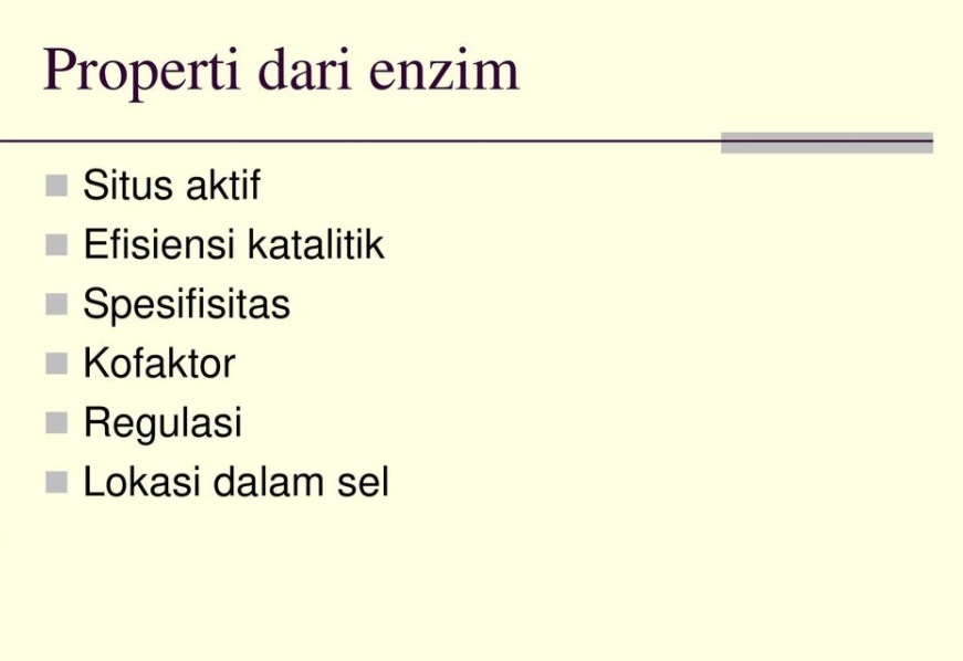 BIOLOGI GONZAGA: ENZIM METABOLISME