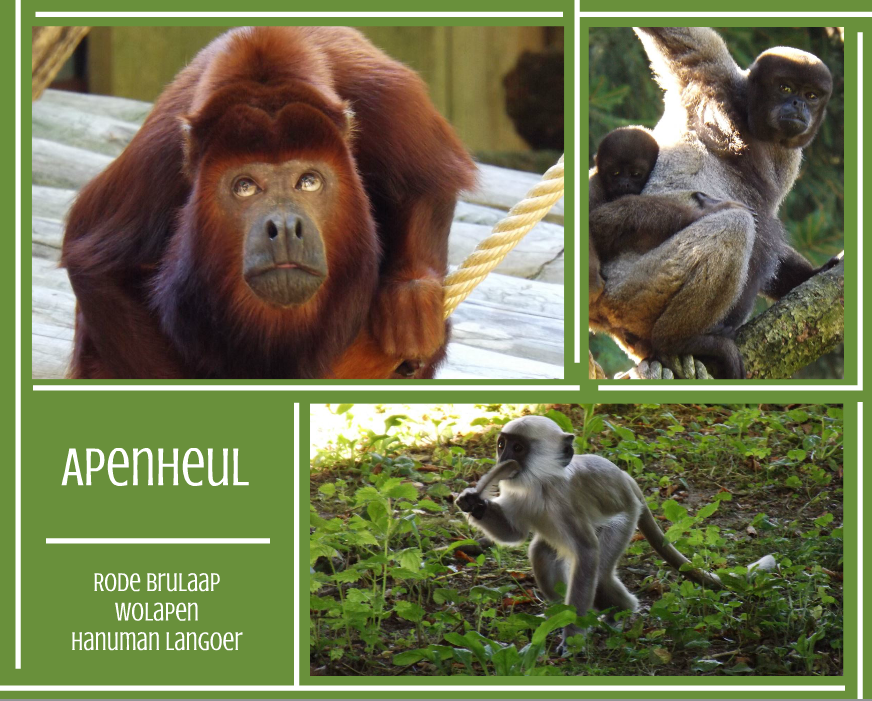 Welkom op Loekje 19: november 2016