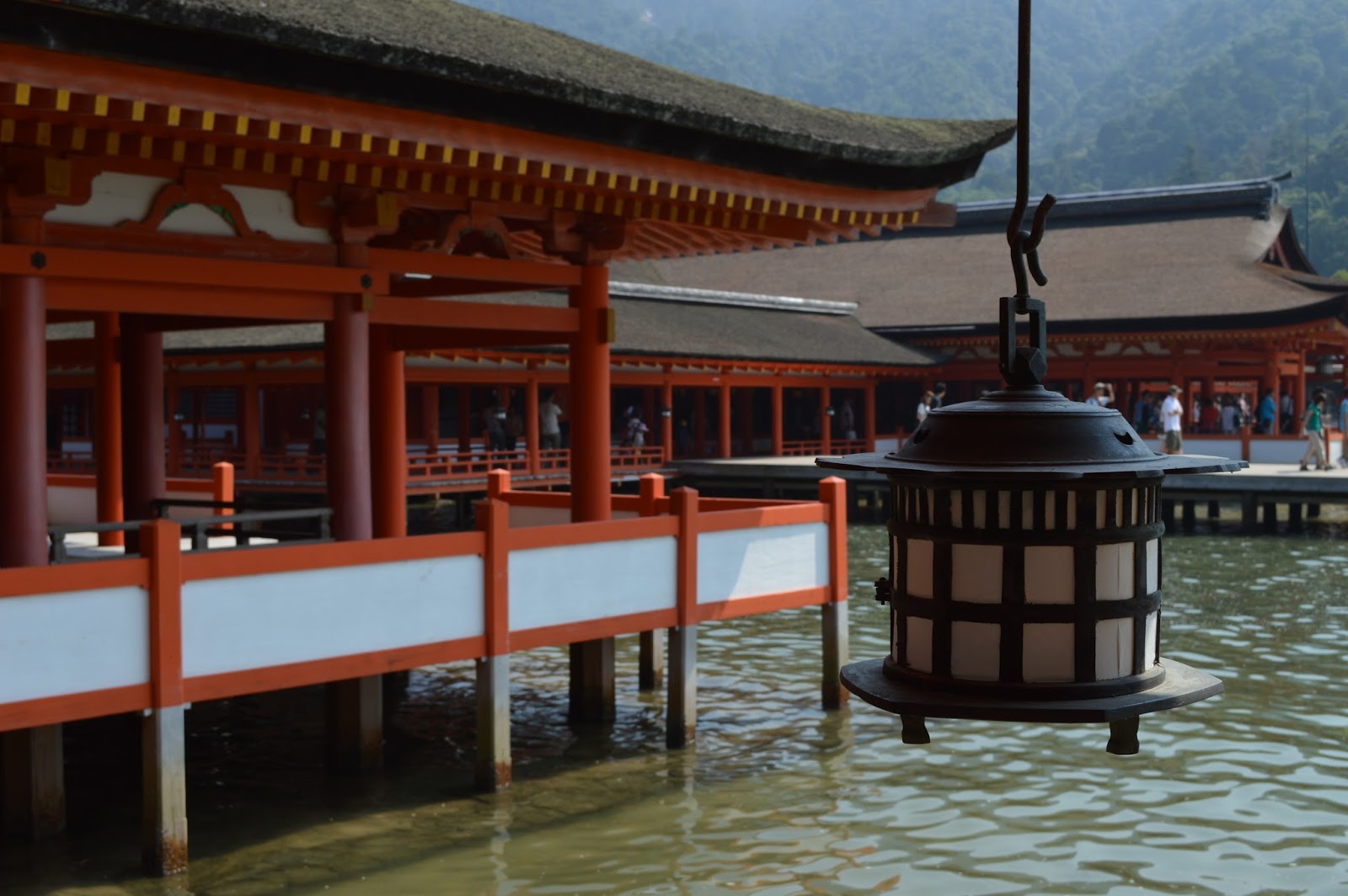 Miyajima ~ Jenna in Japan