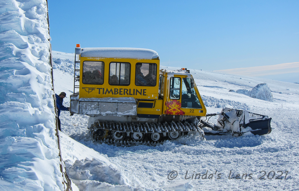 Linda's Lens: Uphill from Timberline
