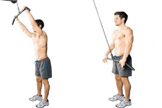 Vida Saludable: Entrenamiento De Espalda Con Poleas