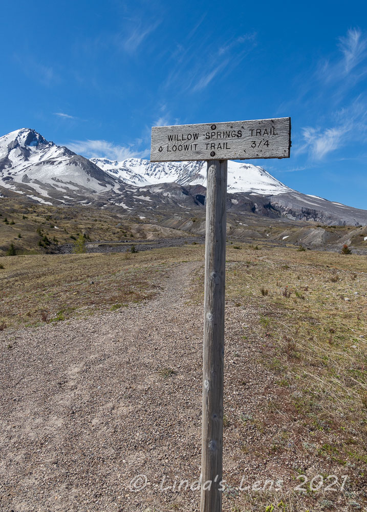 Linda's Lens: The Truman Trail