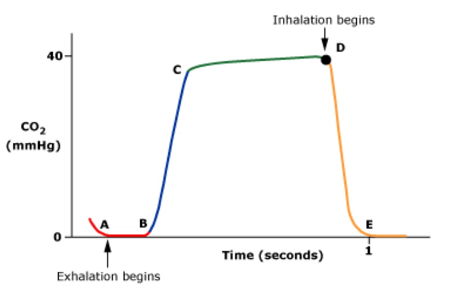 Normal end tidal co2 levels - filnrap