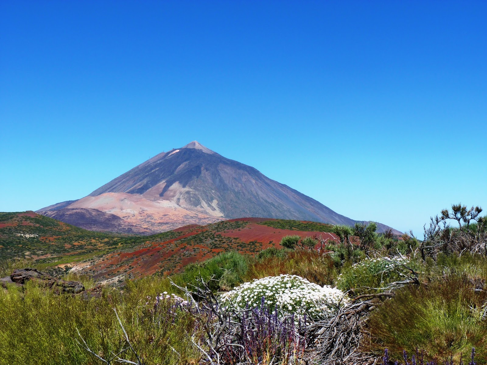Proyecto Lanius: Usos tradicionales en el Parque Nacional del Teide
