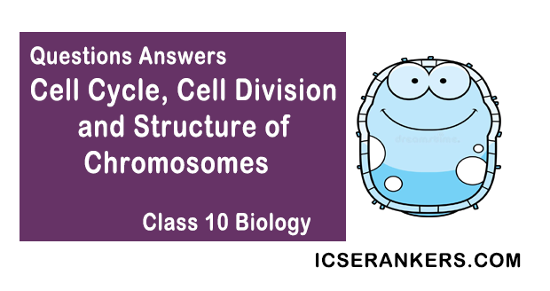 Selina Concise Ch 1 Cell Cycle, Cell Division and Structure of ...