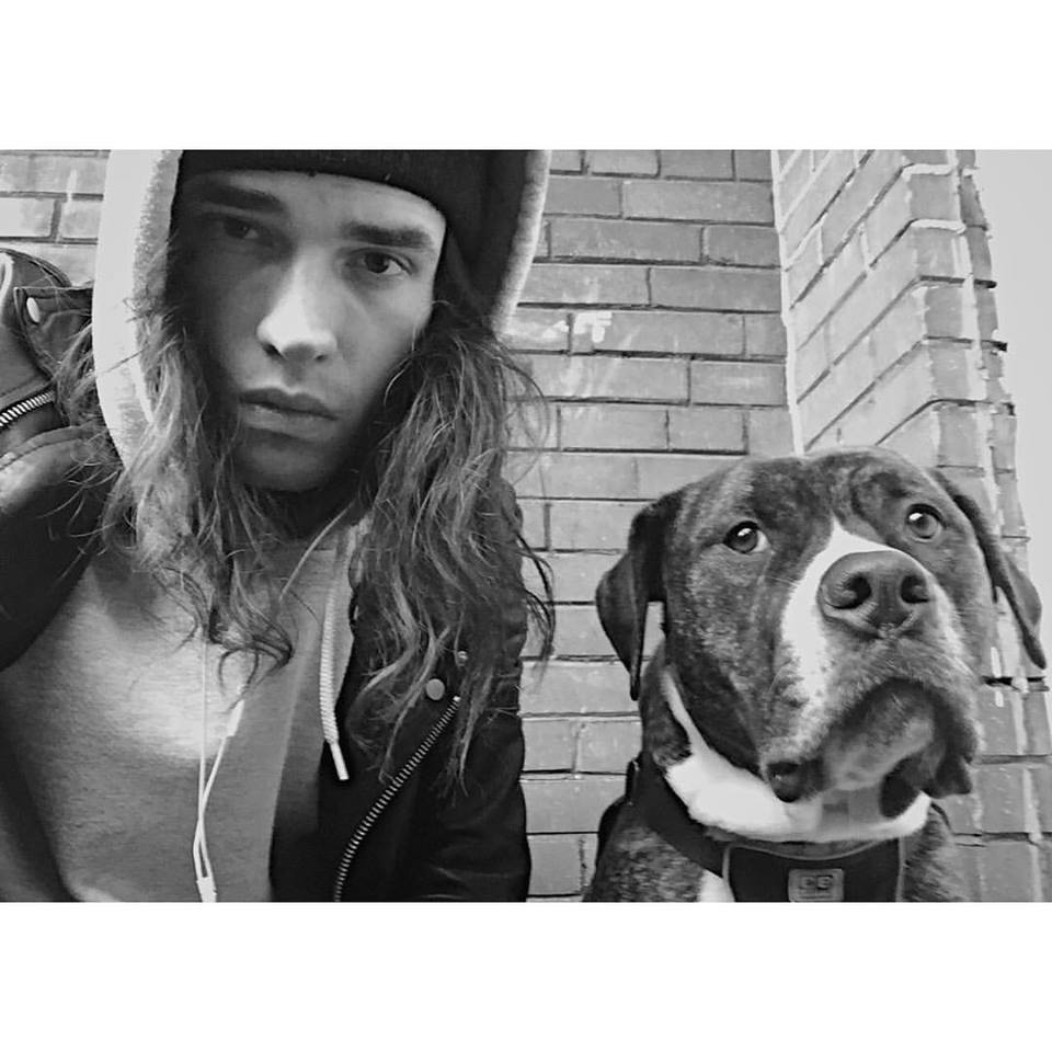 The Rye Whiskey Review : finally ready. By David Boski