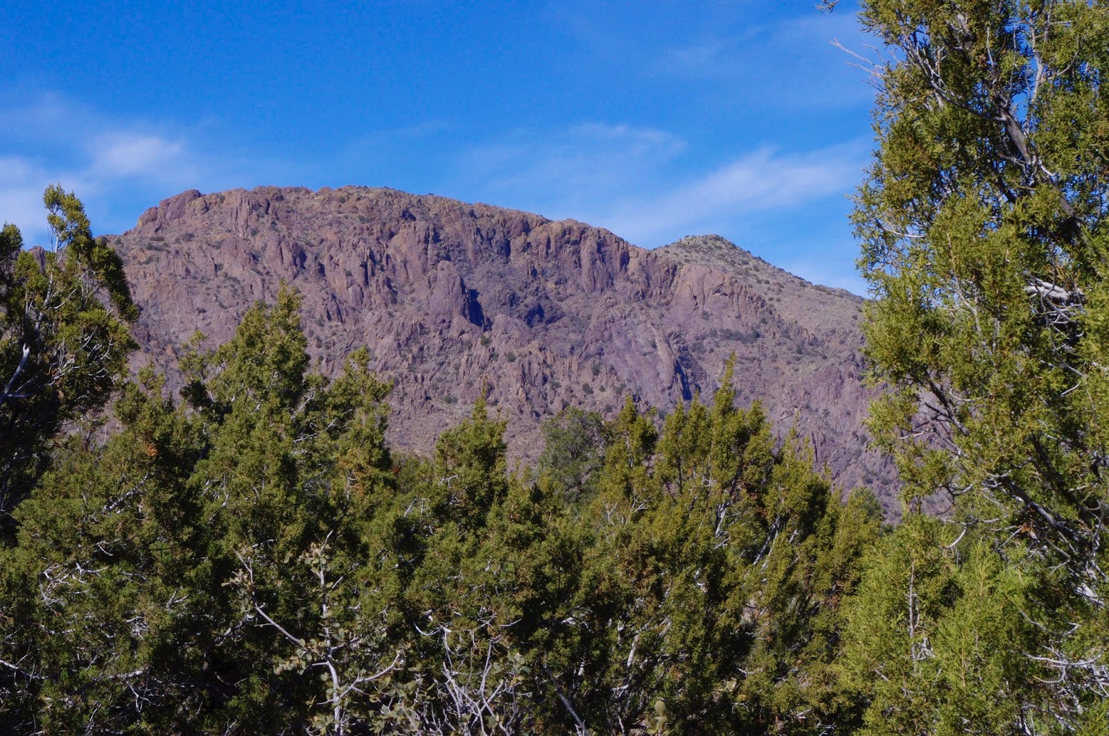Southern New Mexico Explorer: Florida Mountains- Florida Mountains WSA