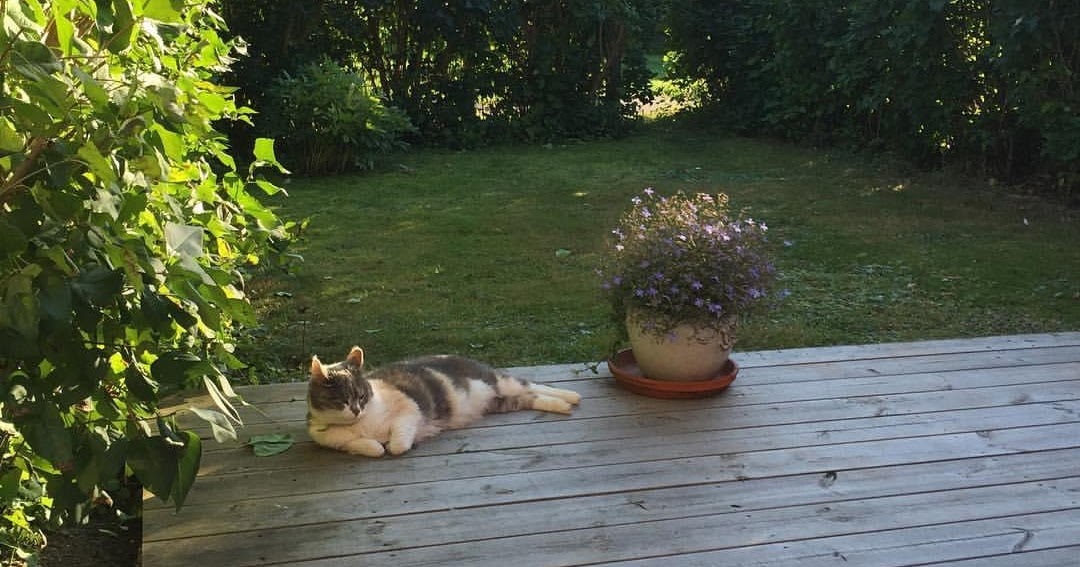 En jordemors liv och lustar: Fredagsfeeling på en torsdag