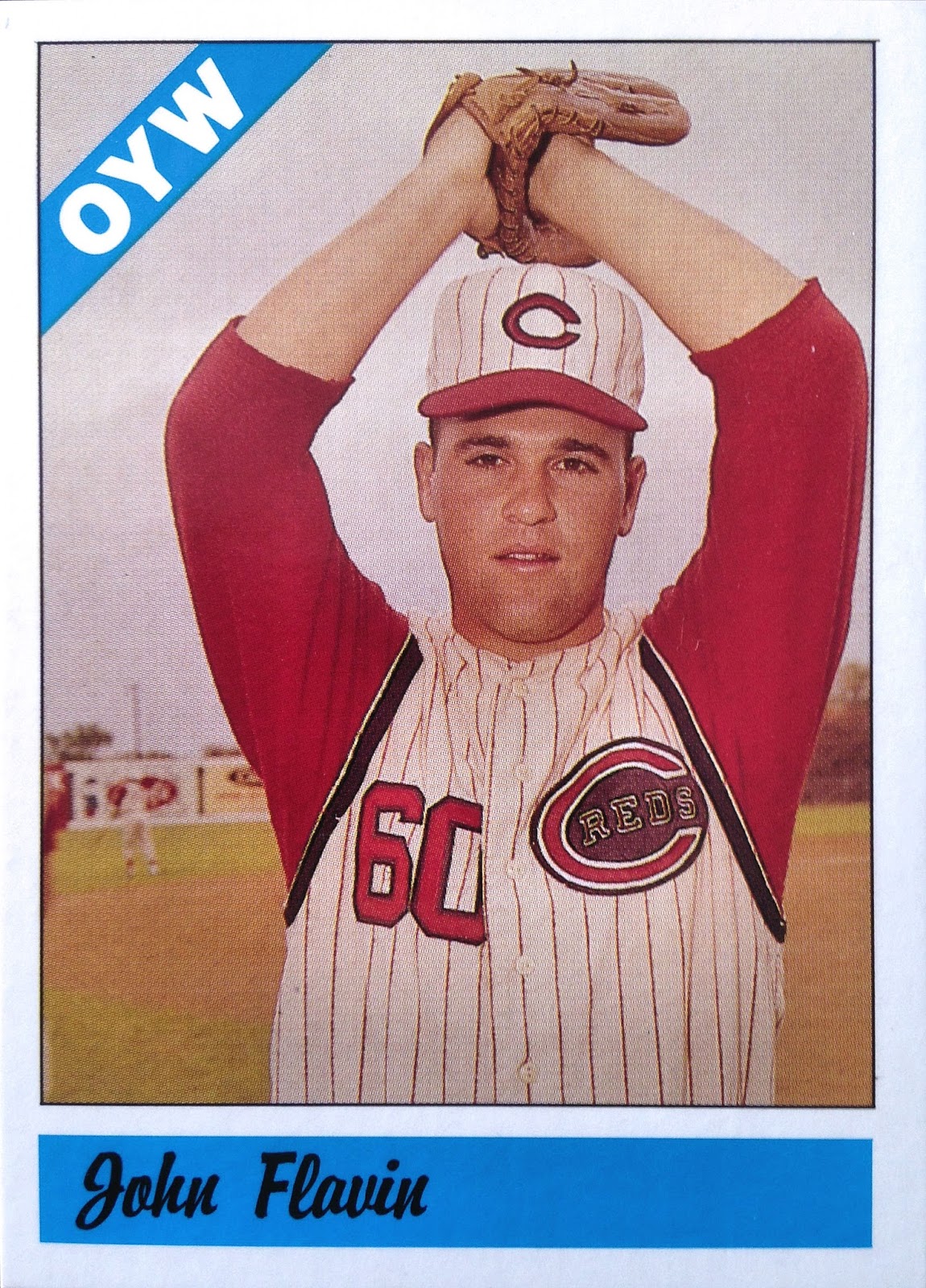 Wrigley Roster Jenga: Wrigley Roster Jenga's Year in Review