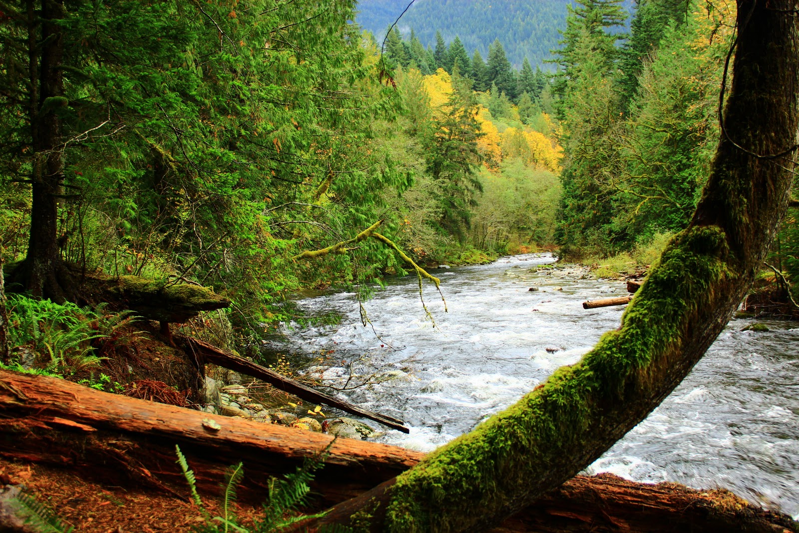 Life... through my eyes: Twin Falls (North Bend, Wa)