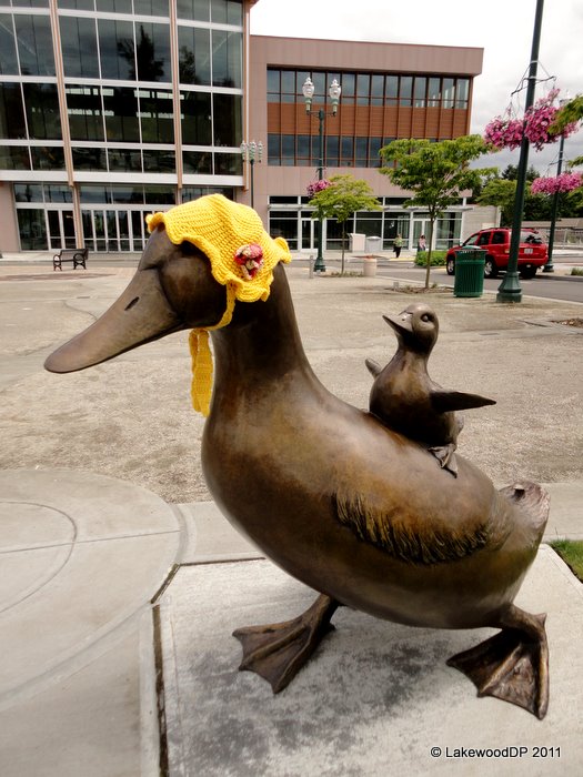 Lakewood Daily Photo: The Duck was Wearing a Yellow Hat!