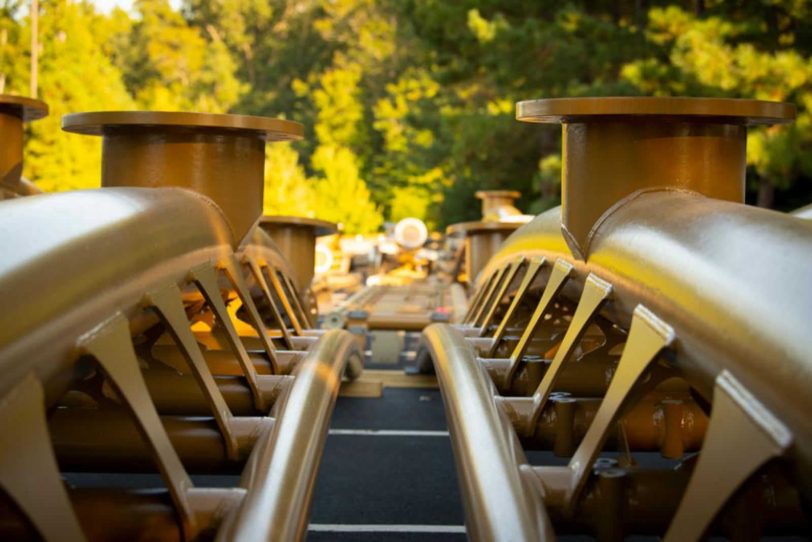 NewsPlusNotes: Busch Gardens Williamsburg Shares Views of Pantheon ...