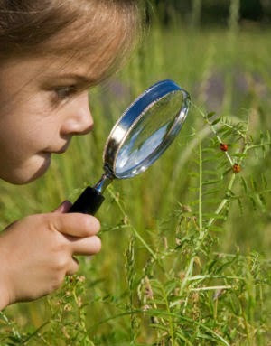 naturalist image: Naturalist Intelligence Nature Smart