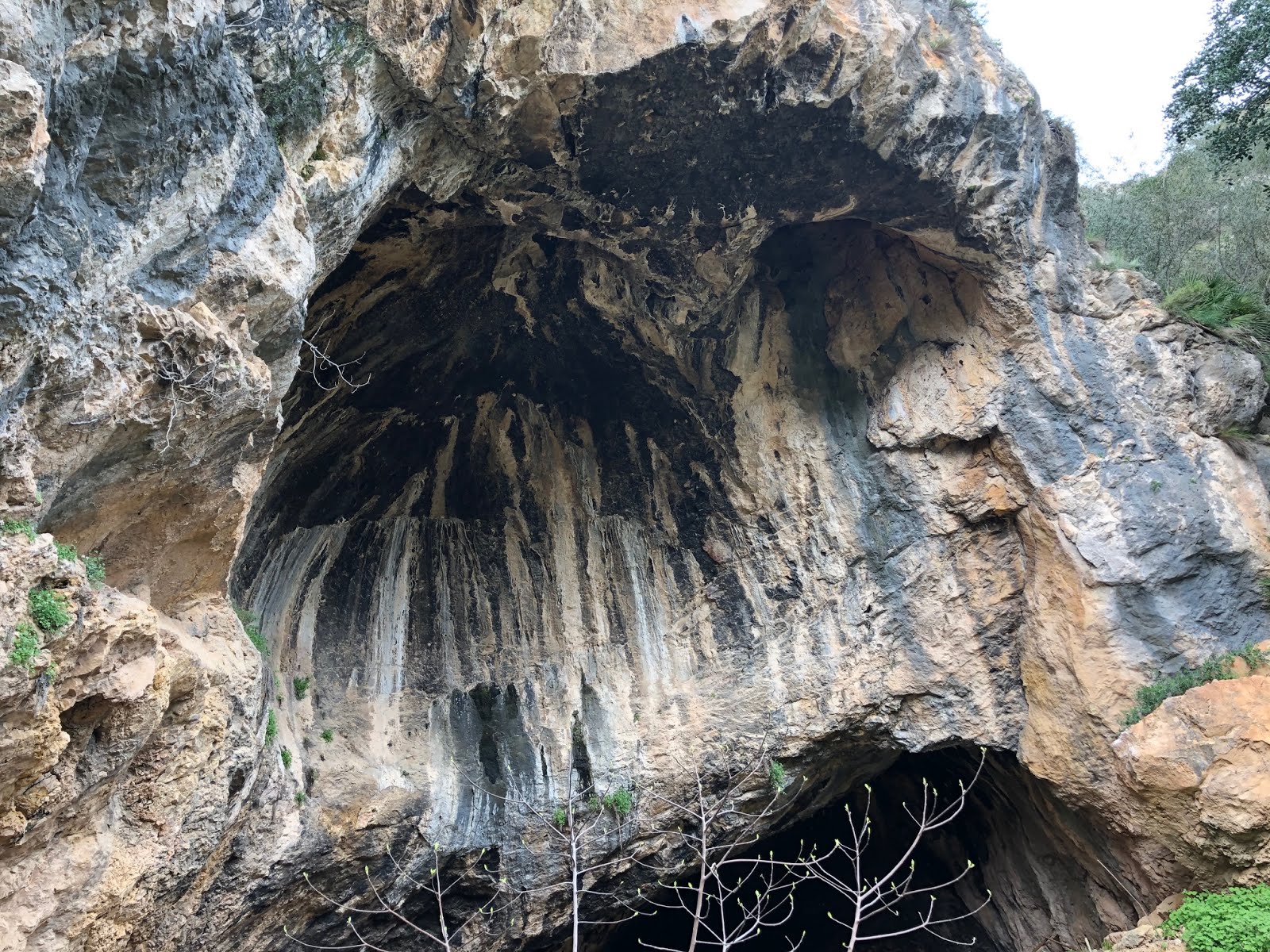 MEDIO NATURAL UN ESPACIO COMPARTIDO: La cova negra