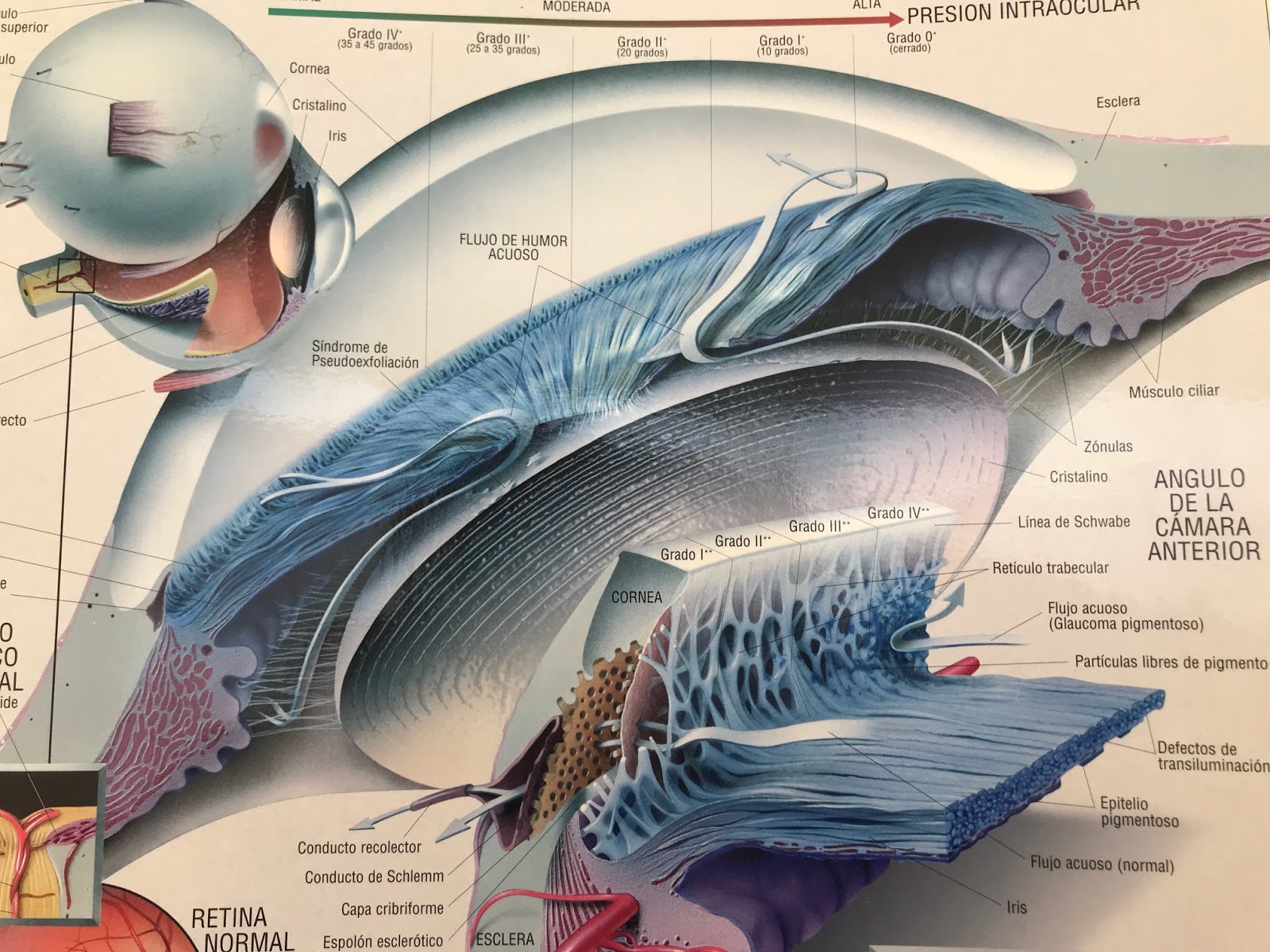 Doctor Oscar Ortiz Miñon, Cirujano Oftalmólogo.