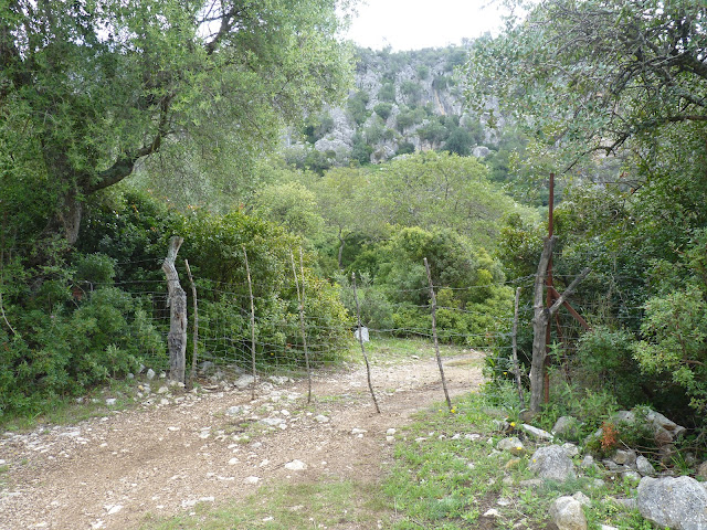 Manuel Cabello y Esperanza Izquierdo: "El blog de Ocurris". "Ubrique en ...