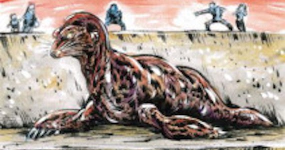 Paranormal Searchers: Mysterious River Monsters of Japan