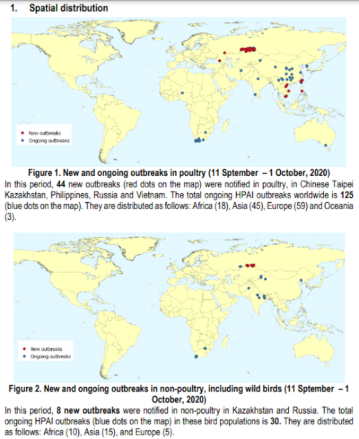 Avian Flu Diary: Israel: HPAI H5N8 Discovered At Poultry Farm In ...