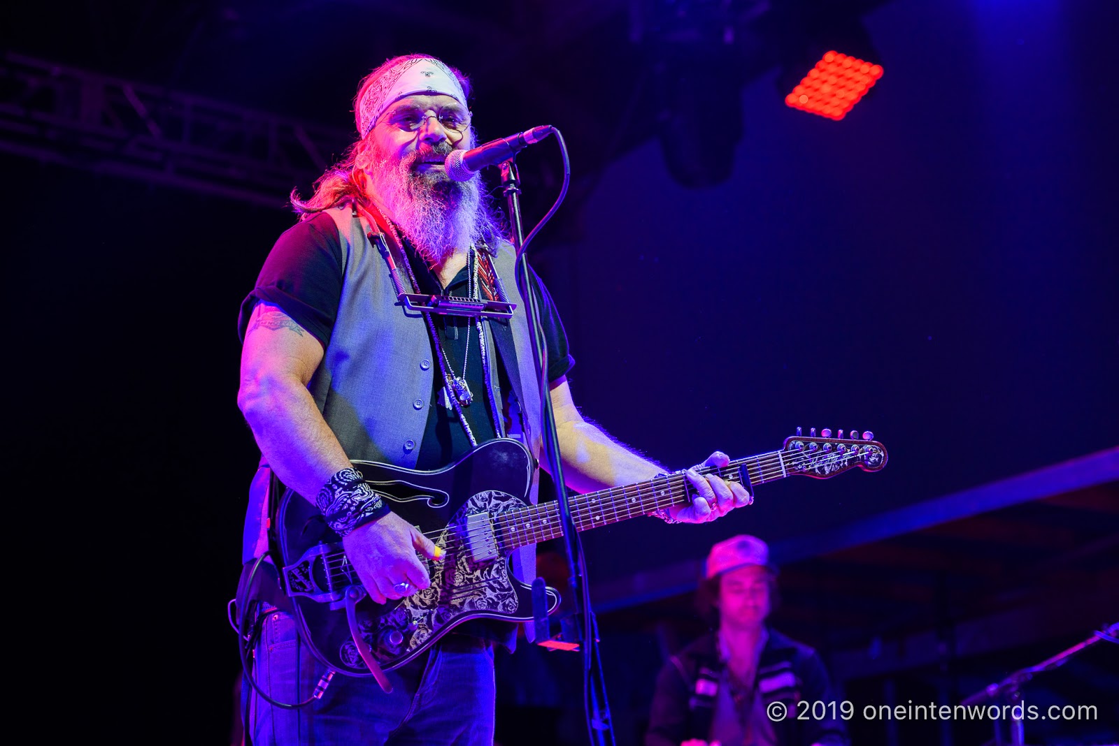one in ten words: Hillside 2019: Day 2: Steve Earle & The Dukes ...