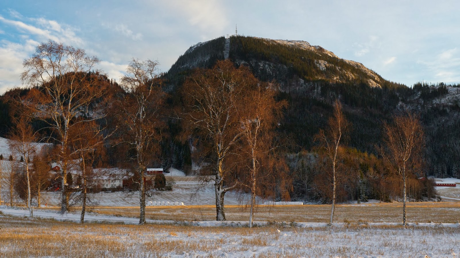 Naturfoto Einar Hugnes: november 2013