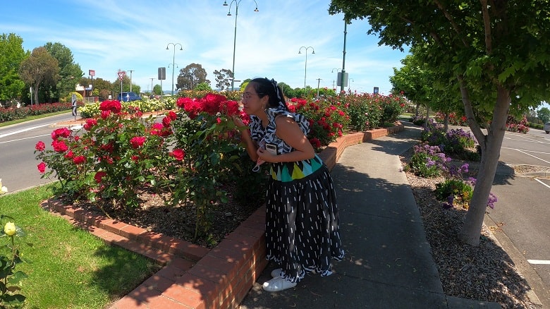 When life is full of roses | Morwell Centenary Rose Garden - For Urban ...