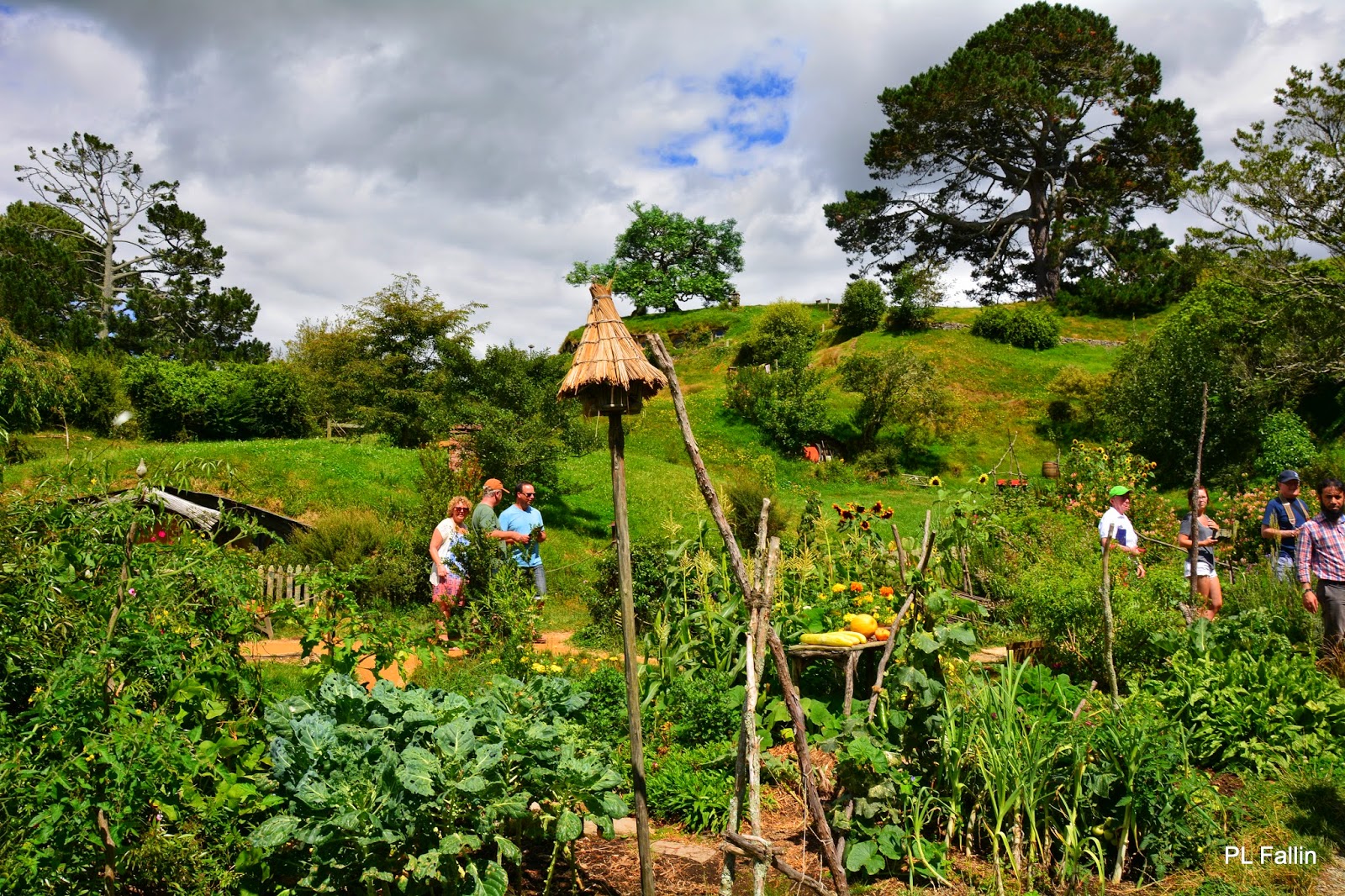 PL Fallin Photography: The Hobbit's Middle-Earth Flower and Vegetable ...