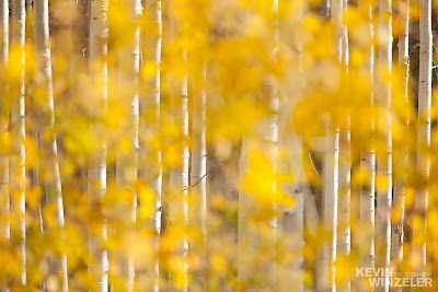 Kevin Winzeler Photography Blog