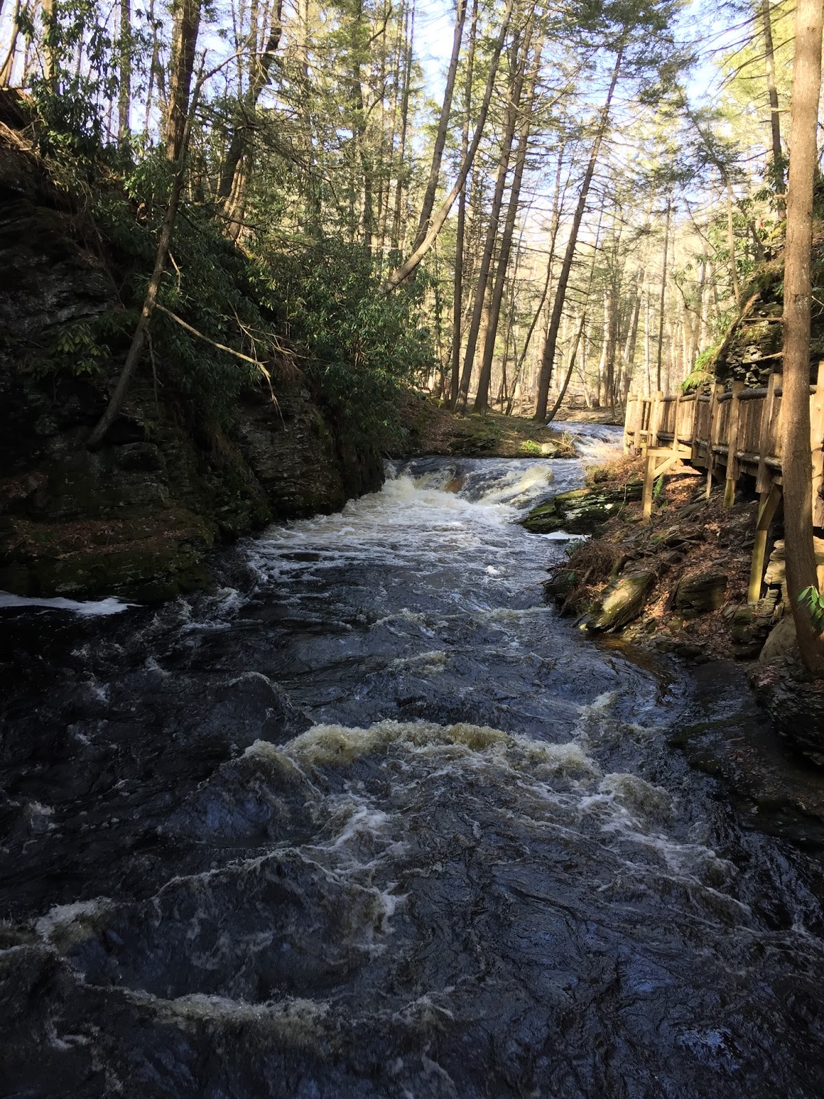 The Waterfalls Spring break 3rd grade