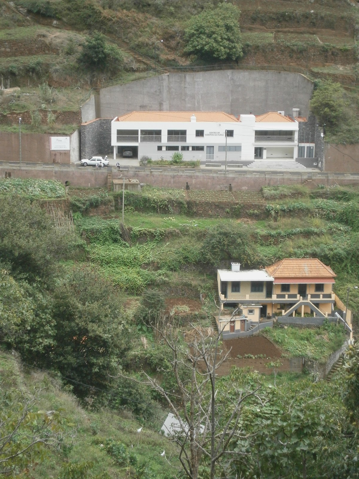 fotográfico: FURNA - RIBEIRA BRAVA (Madeira)