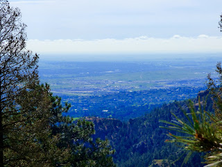 Otowi: Muscoco Mt 7/30/15