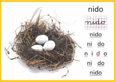 Lección nido