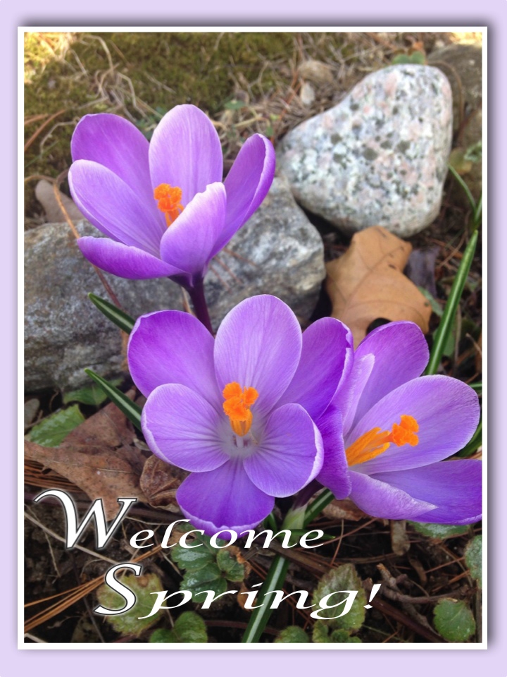 StyleWise: Spring Has Sprung…Time To Add Some Curb Appeal!