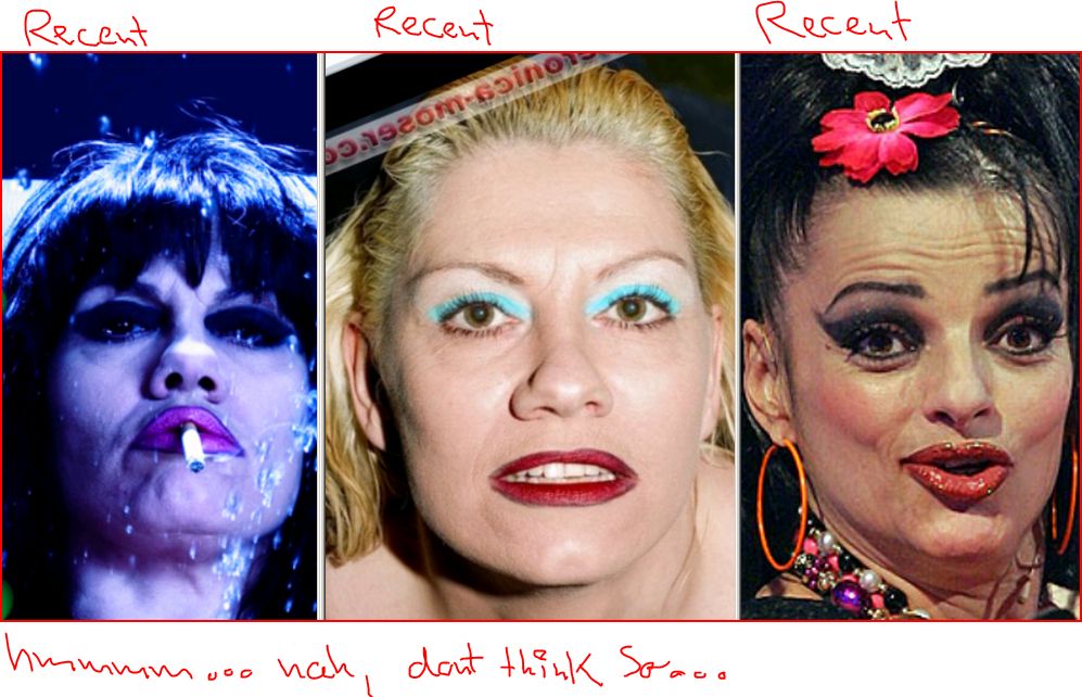 Welcome to Mossad-ALF´s funny little blog...: veronica moser the scat ...