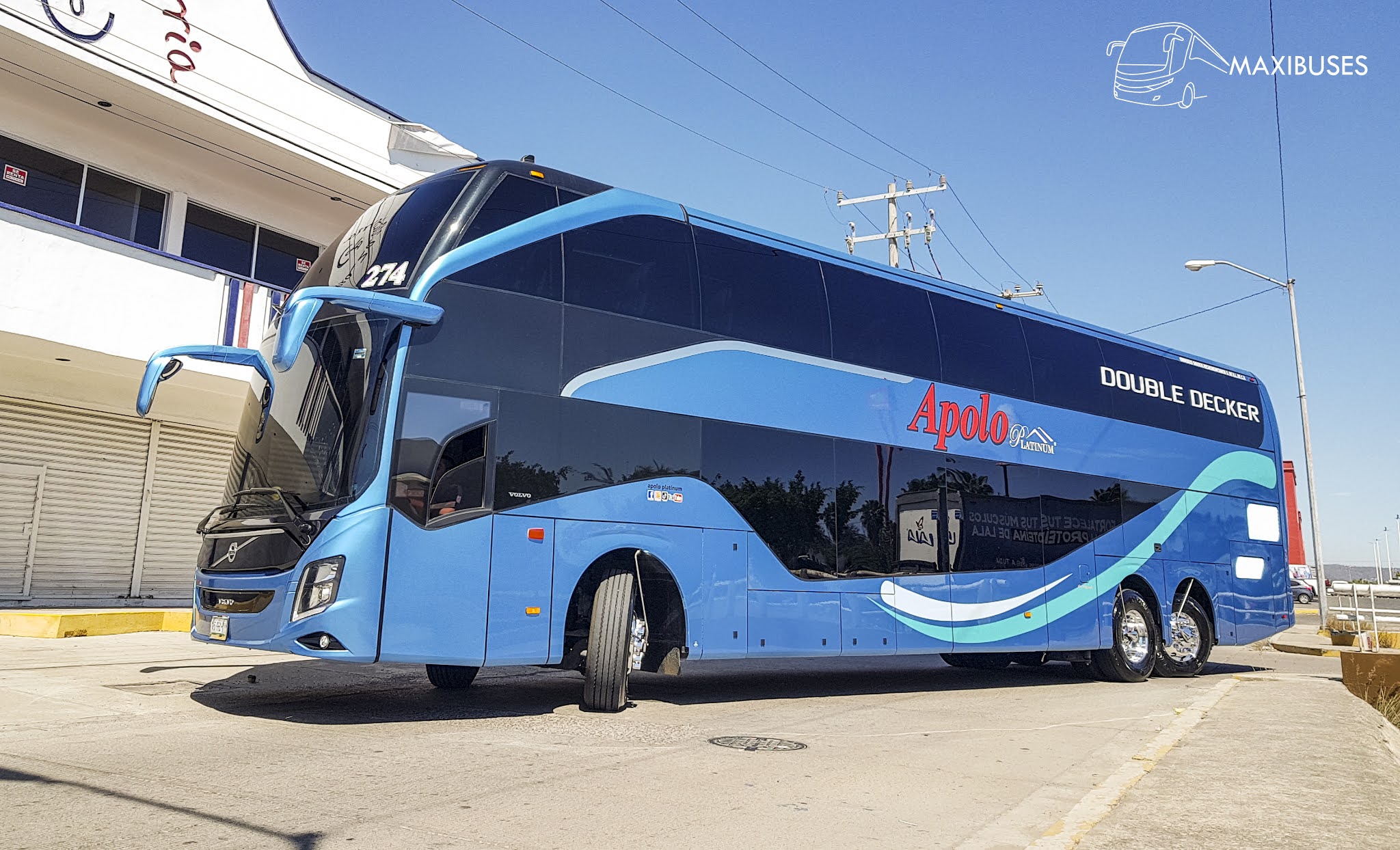 MAXIBUSES: ESPECIAL - APOLO PLATINUM