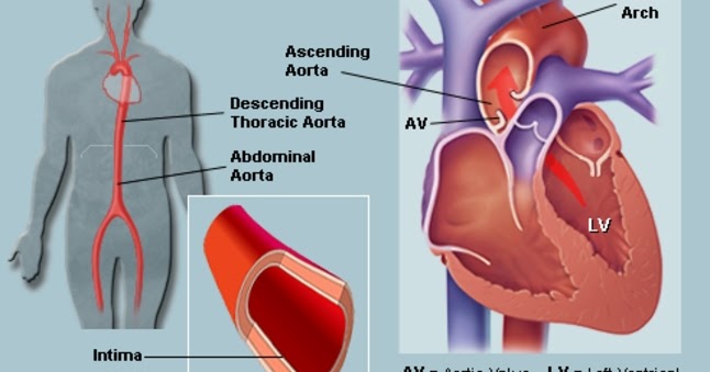 BEWARE OF THIS SIGN – YOUR HEART IS NOT FUNCTIONING RIGHT!
