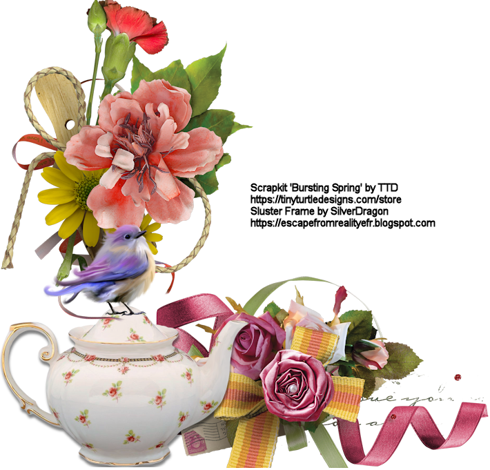 Escape From Reality Blog: FTU 'Bursting Spring' Cluster Frames TTD