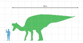 Info Hewan Tumbuhan Prasejarah: Lambeosaurus, dinosaurus bermoncong ...