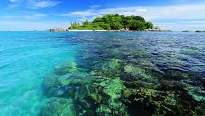 Traveler Guide: Mansinam Island