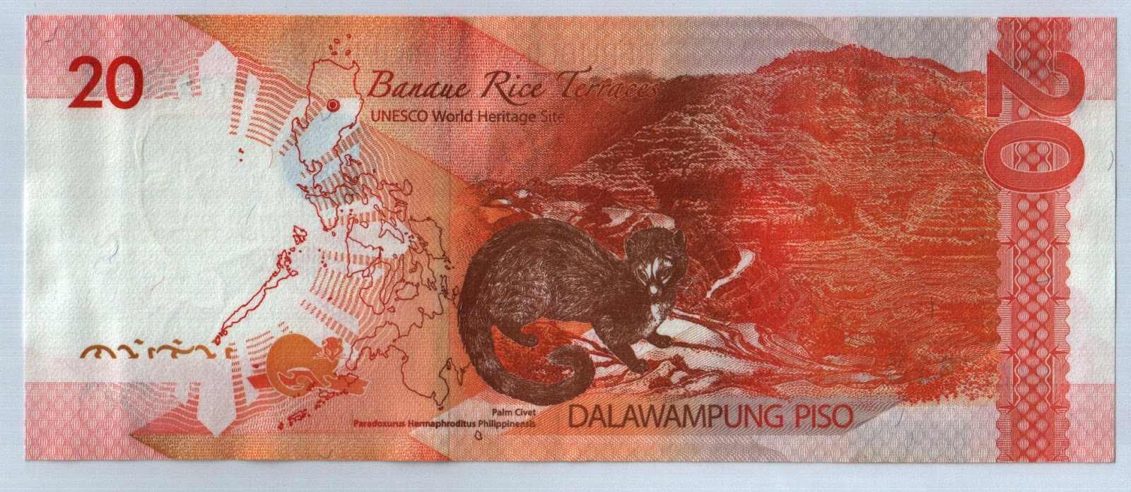 The private collection of banknotes from around the countries in the ...