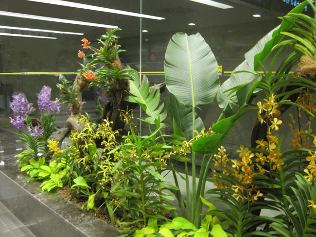 Tropical Garden and Landscape: Professionally Designed Indoor and ...