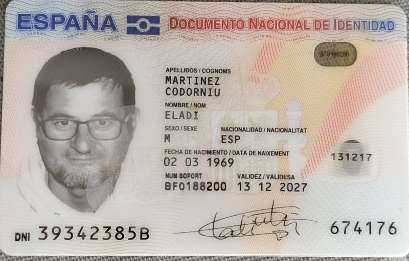Picalapica Qu Pone En Tu DNI picalapica-qu-pone-en-tu-dni